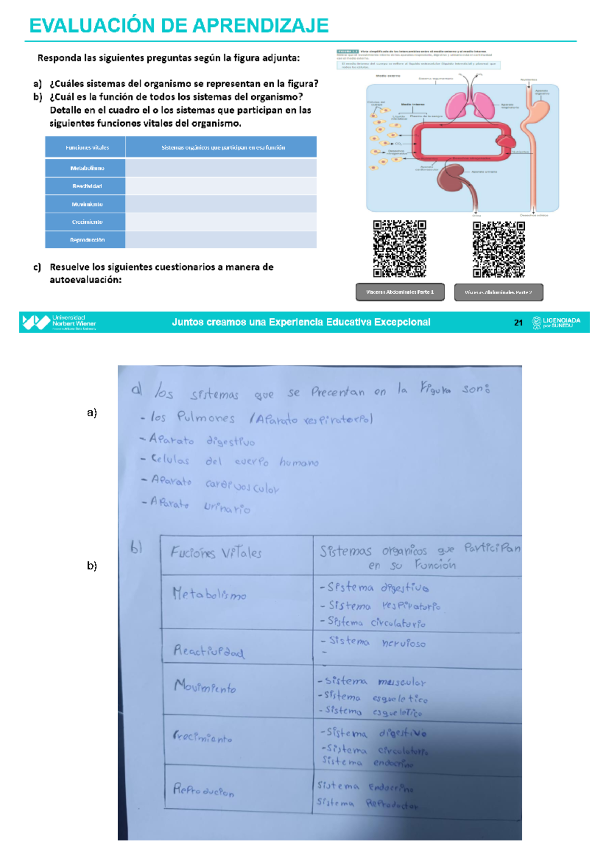 Tarea funcion del cuerpo humano. - EVALUACIÓN DE APRENDIZAJE Responda ...