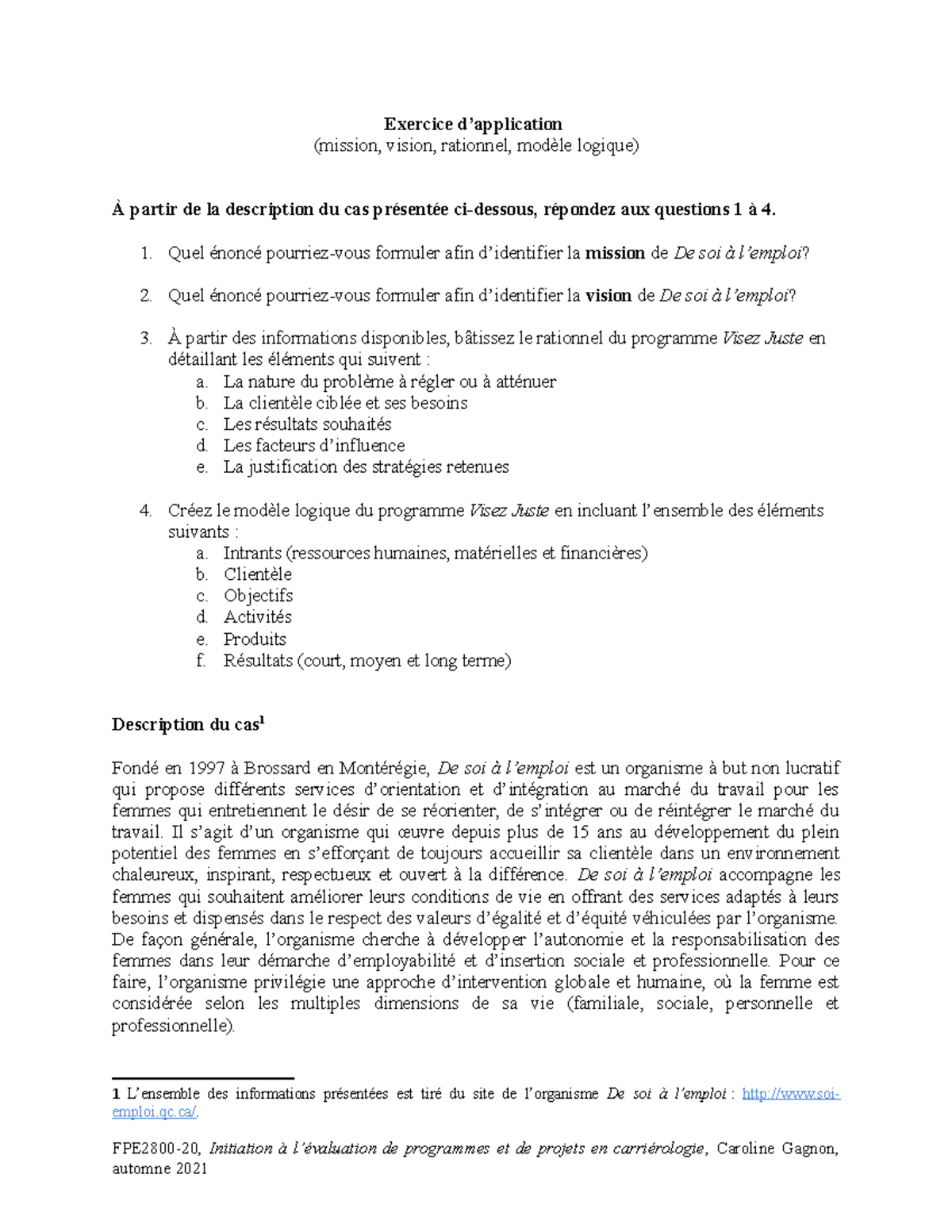 Exercice dapplication (mission, vision, rationnel, modèle logique ...