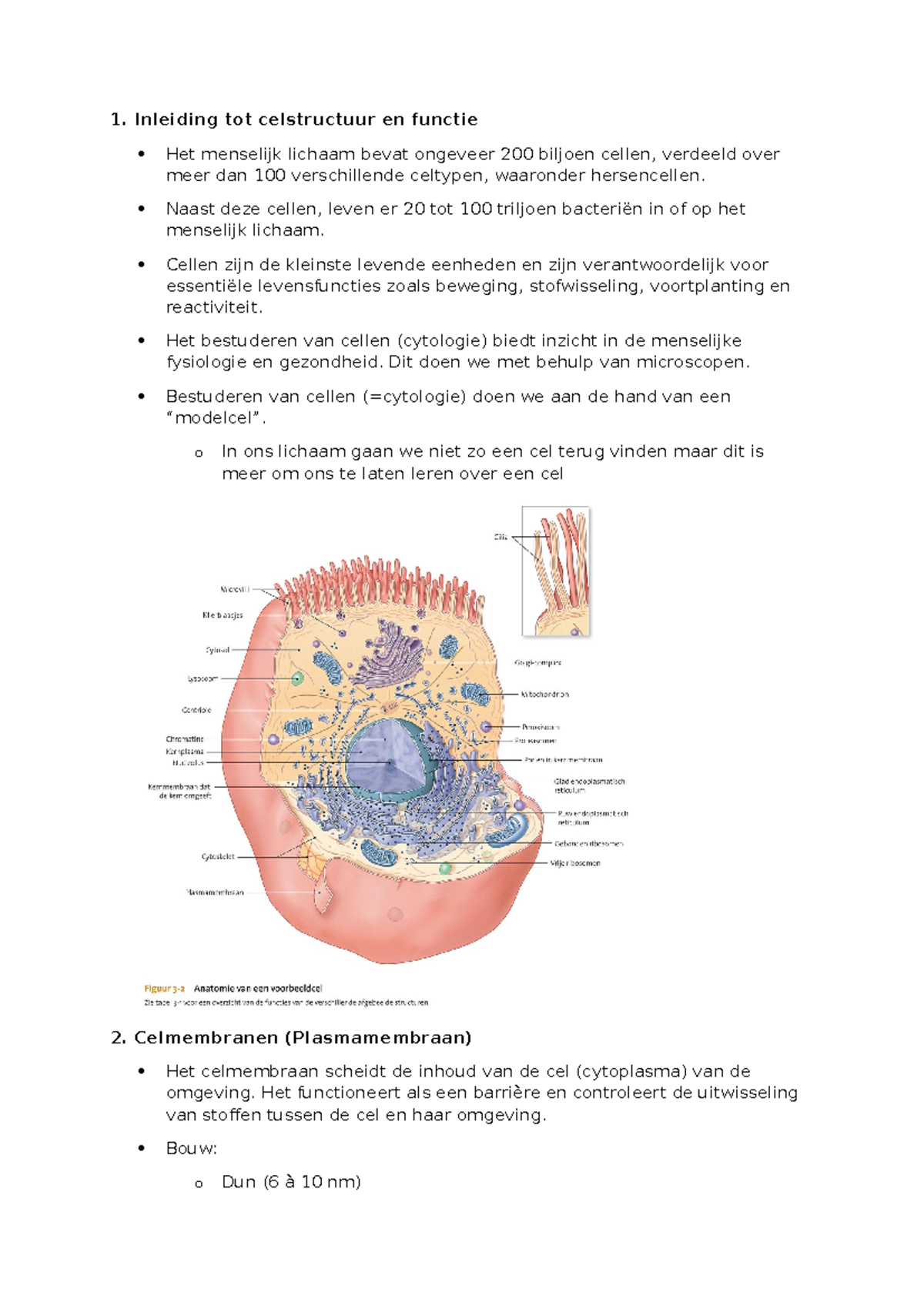 Samenvatting van celstructuur en celfunctie - 1. Inleiding tot ...