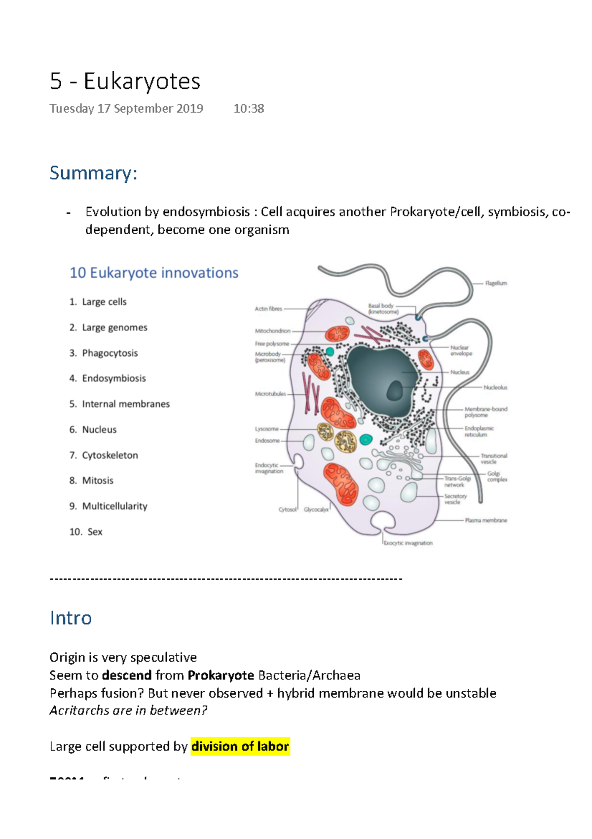 5 Eukaryotes Lecture Notes 5 Warning Tt Undefined Function 32 Summary Evolution By