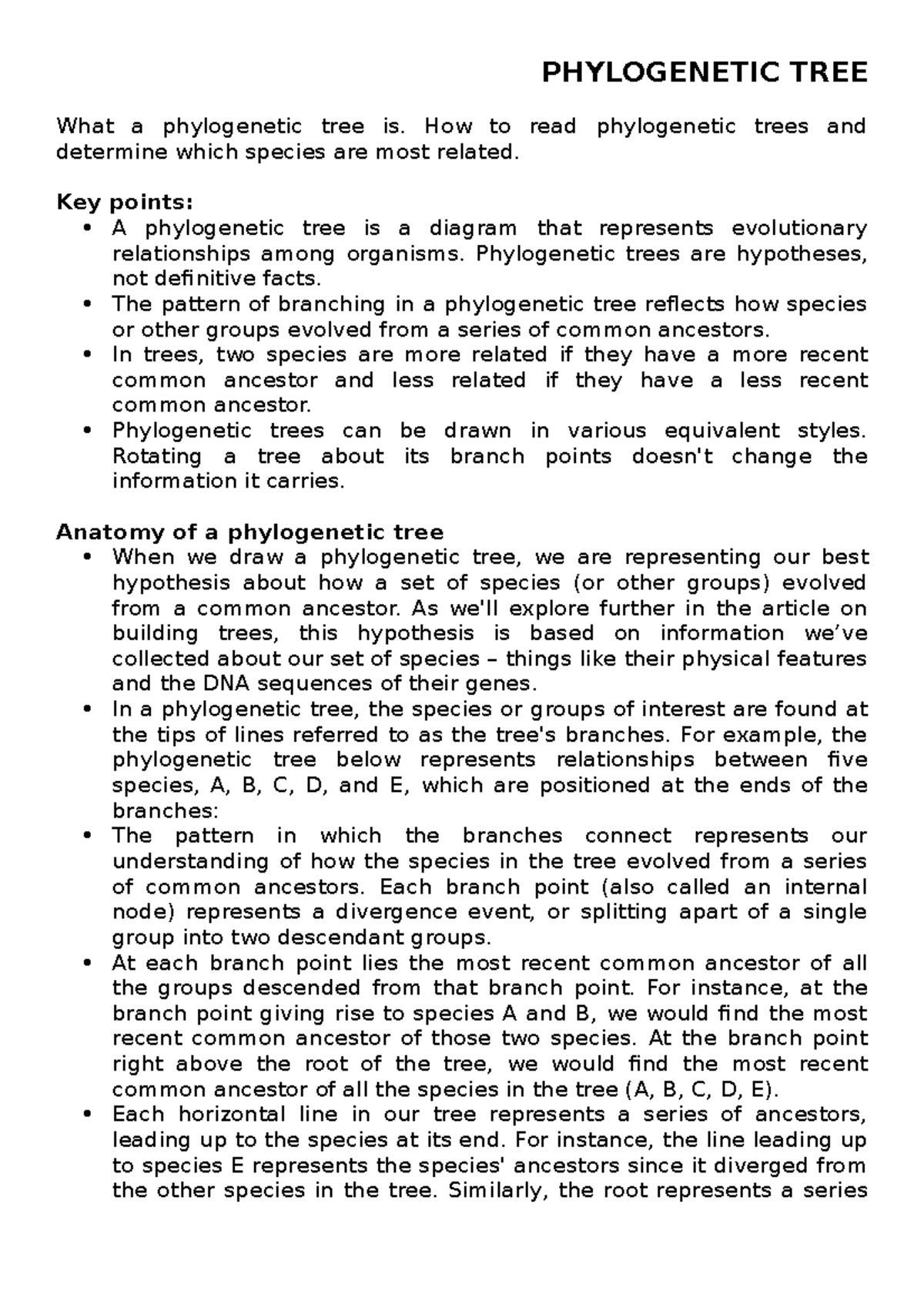 Phylogenetic TREE hand outs - PHYLOGENETIC TREE What a phylogenetic ...