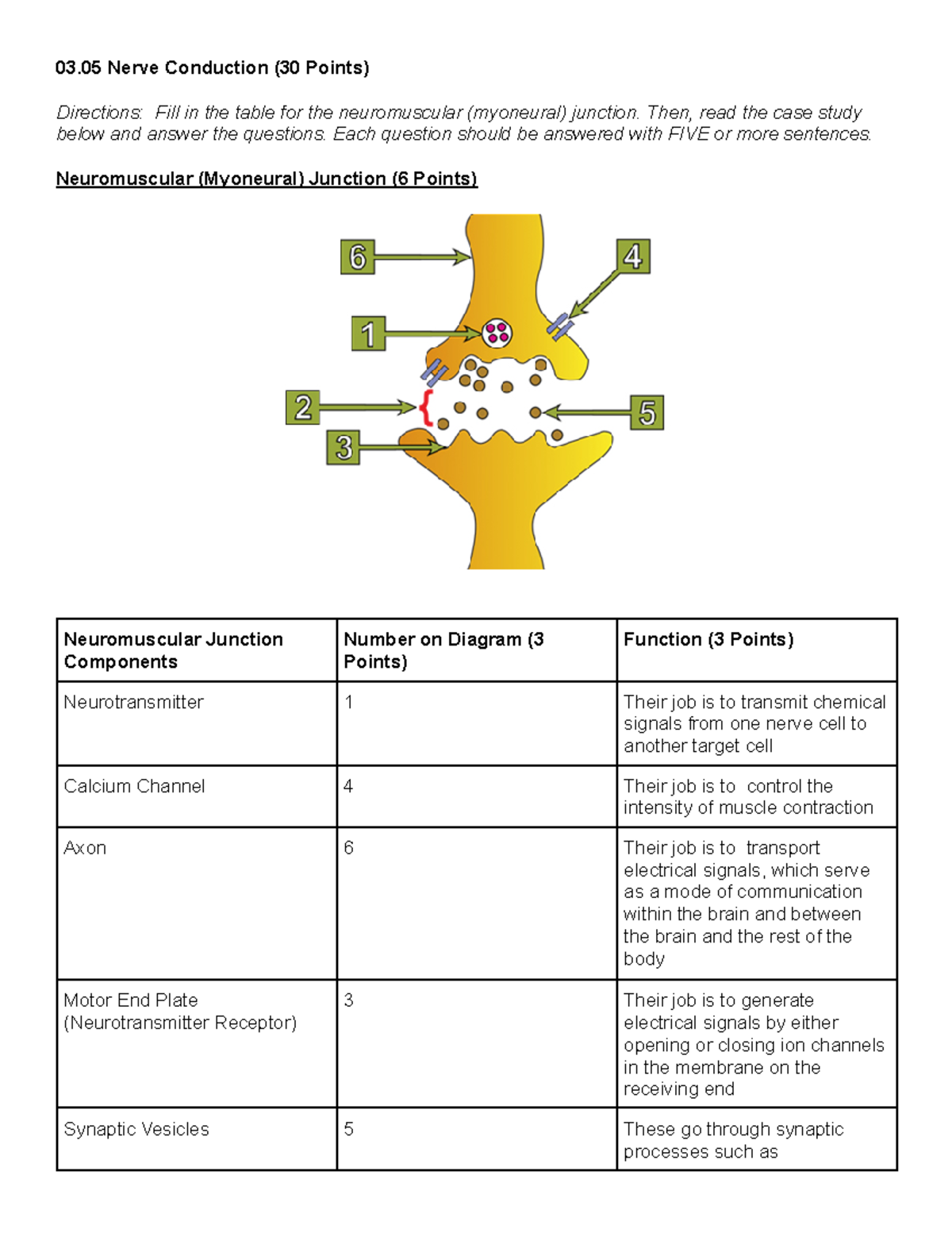 Copy of 0305 Nerve Conduction-3 - 03 Nerve Conduction (30 Points ...