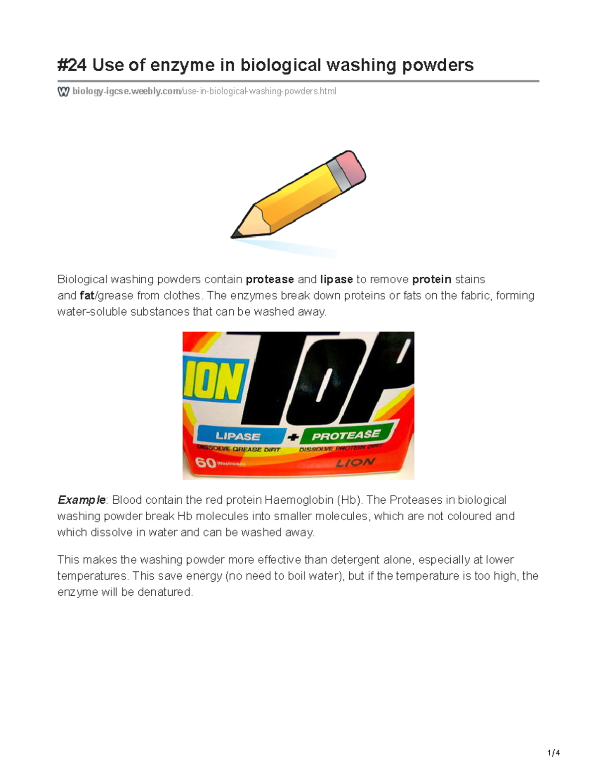 Biology-igcse.weebly.com-24 Use of enzyme in biological washing powders ...