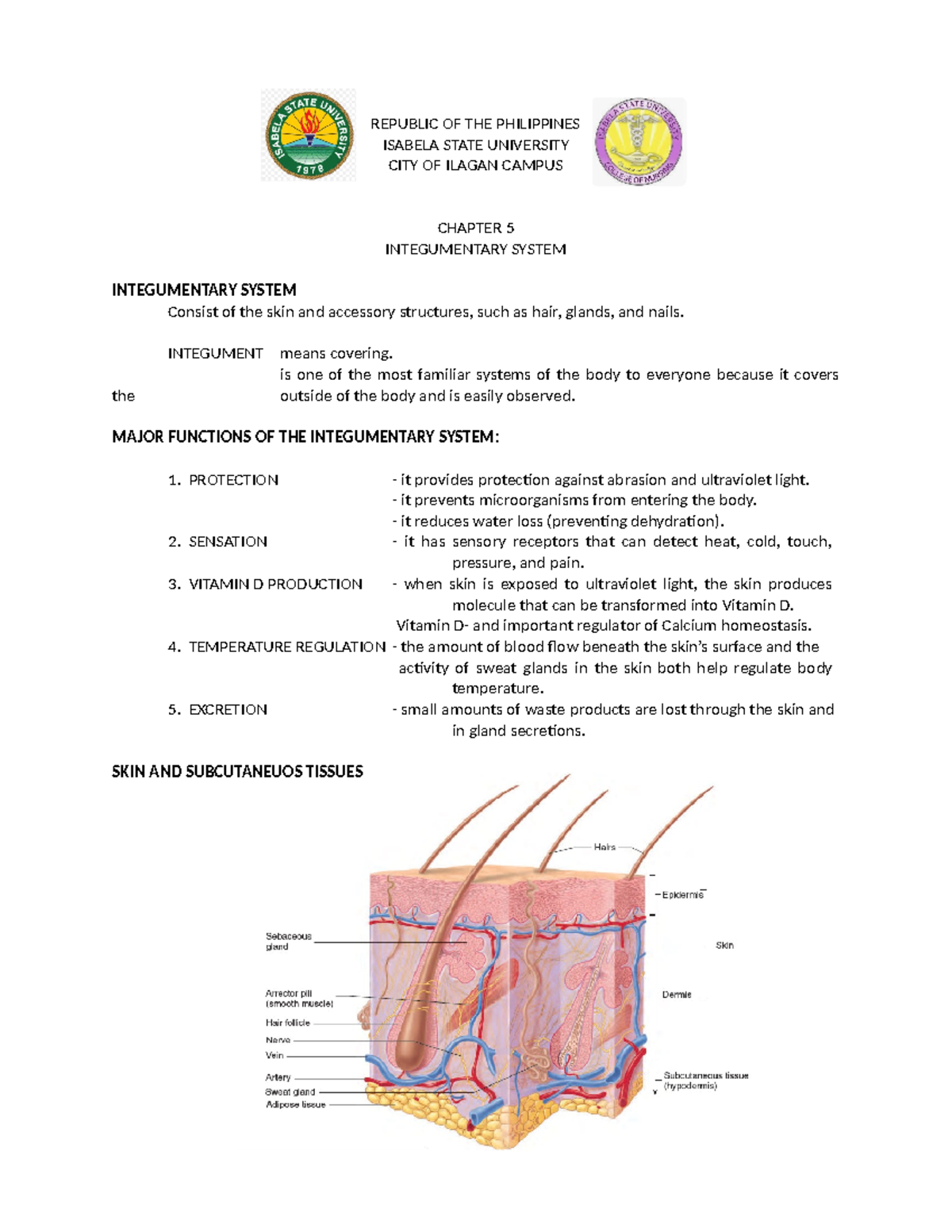 Chapter 5 Integumentary System - REPUBLIC OF THE PHILIPPINES ISABELA ...