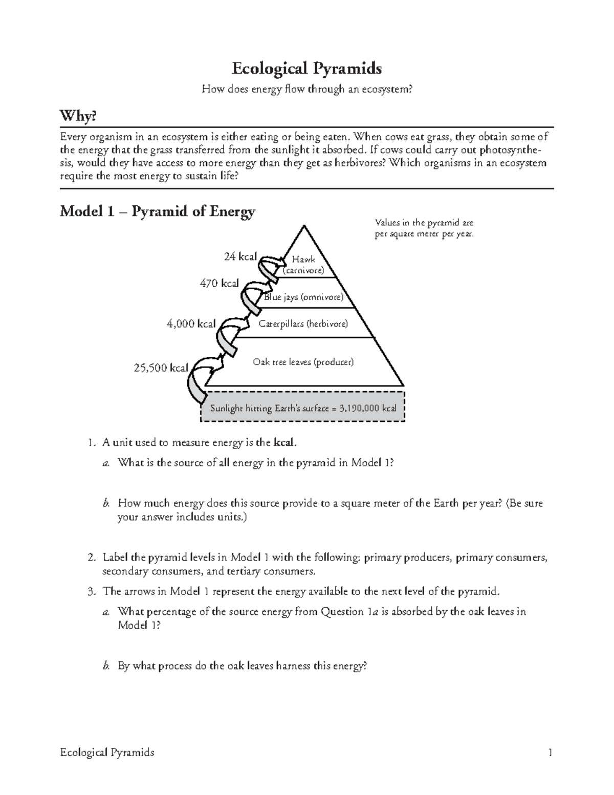 Pogil 1 - Trophic Level Model - Ecological Pyramids 1 Ecological ...