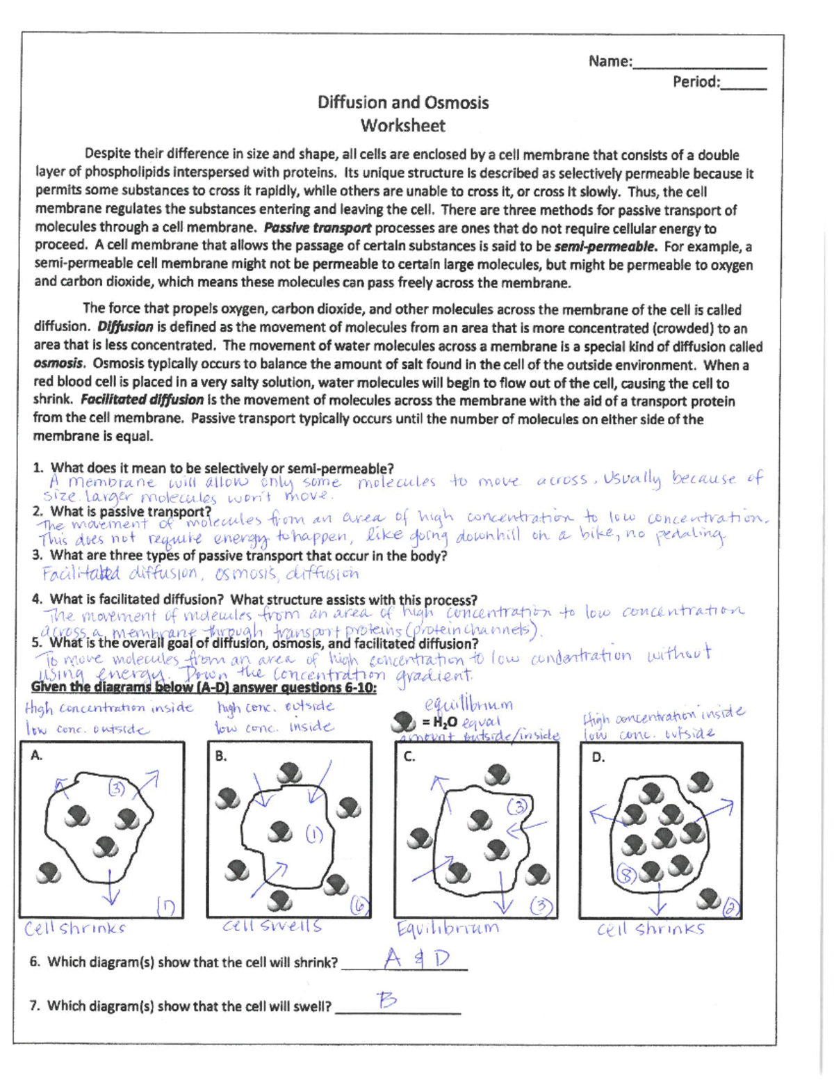 KEYOsmosis Diffusion WS - Studocu