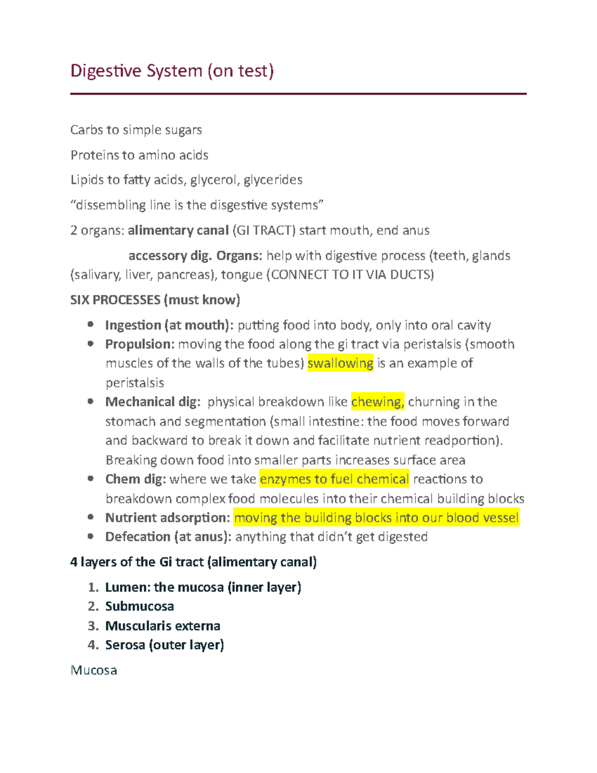 Digestive System Notes - Digestive System (on test) Carbs to simple ...