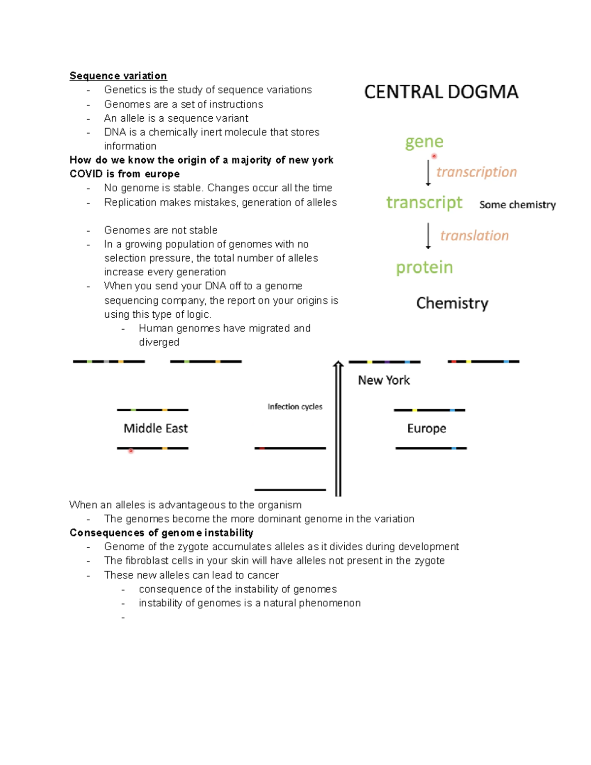 Week 1 lectures - Genetics notes - Sequence variation - Genetics is the ...