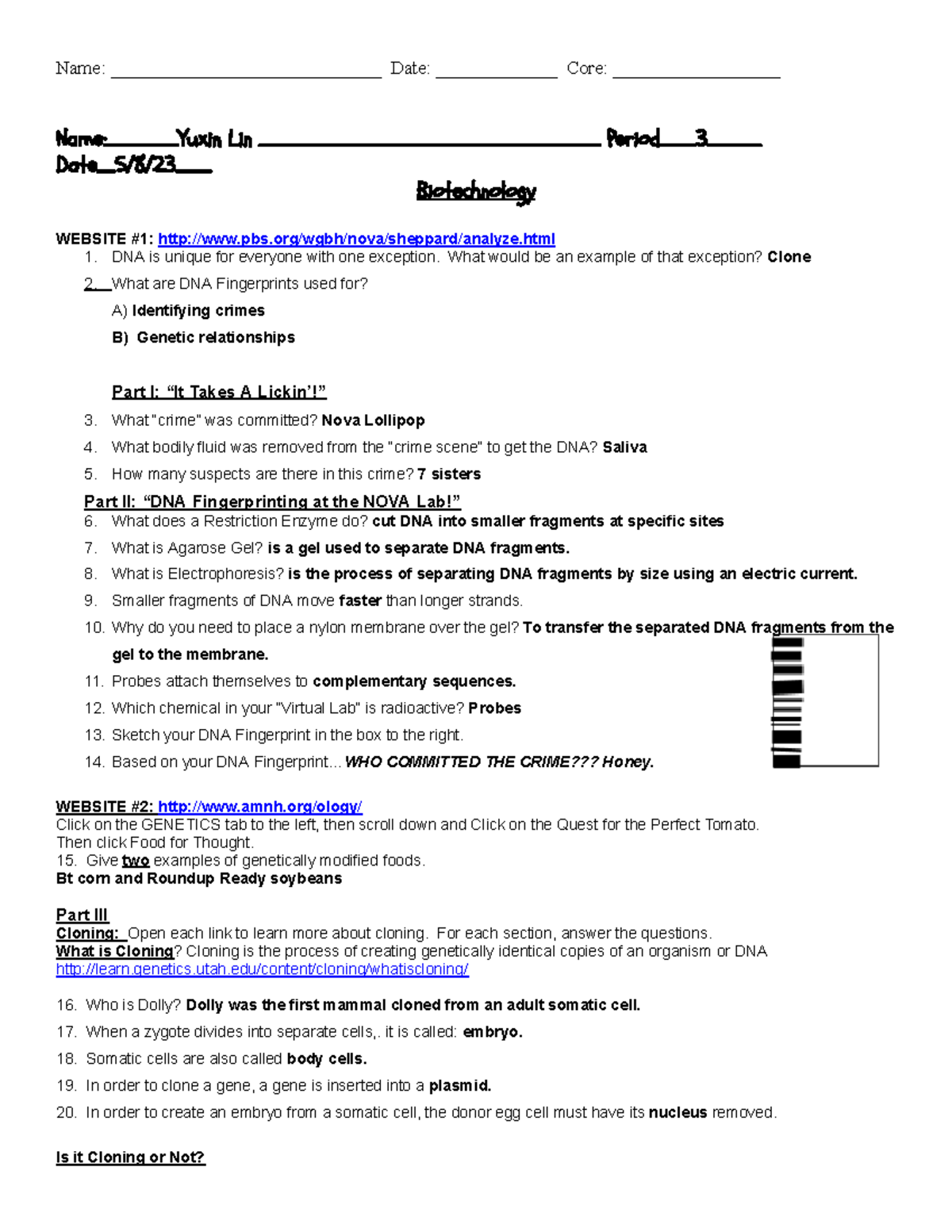 Yuxin Lin - Biotechnology webquest (1) 2023 - Name ...