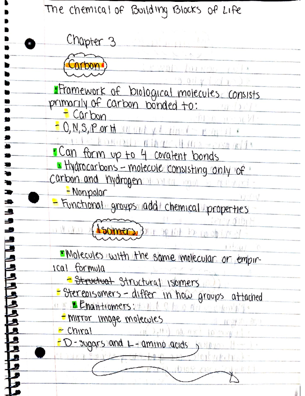 Bio 111 (chapter 3 notes) - BIO 111 - Studocu