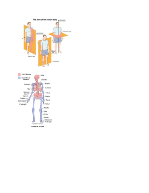 Biology notes - SLE132 - Studocu
