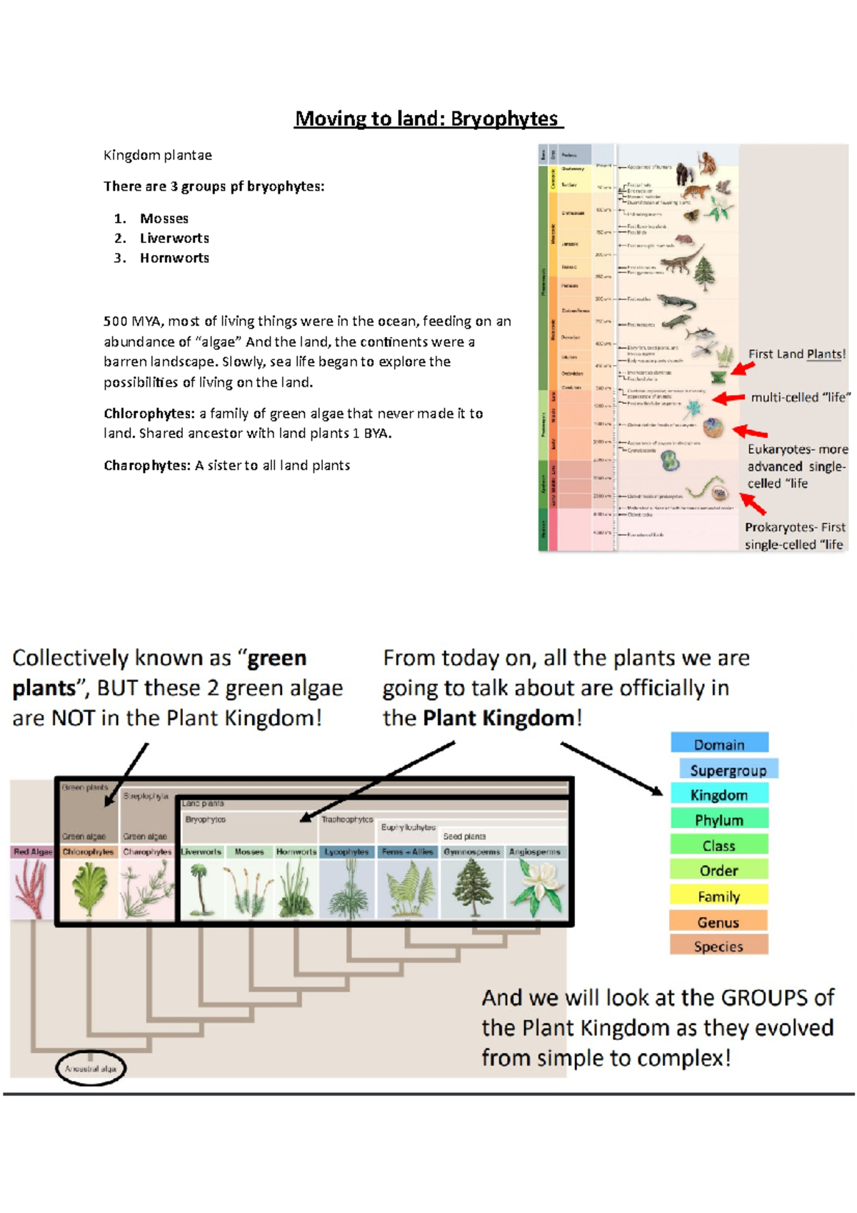 Bryophytes - bryophyte lec notes - Moving to land: Bryophytes Kingdom ...