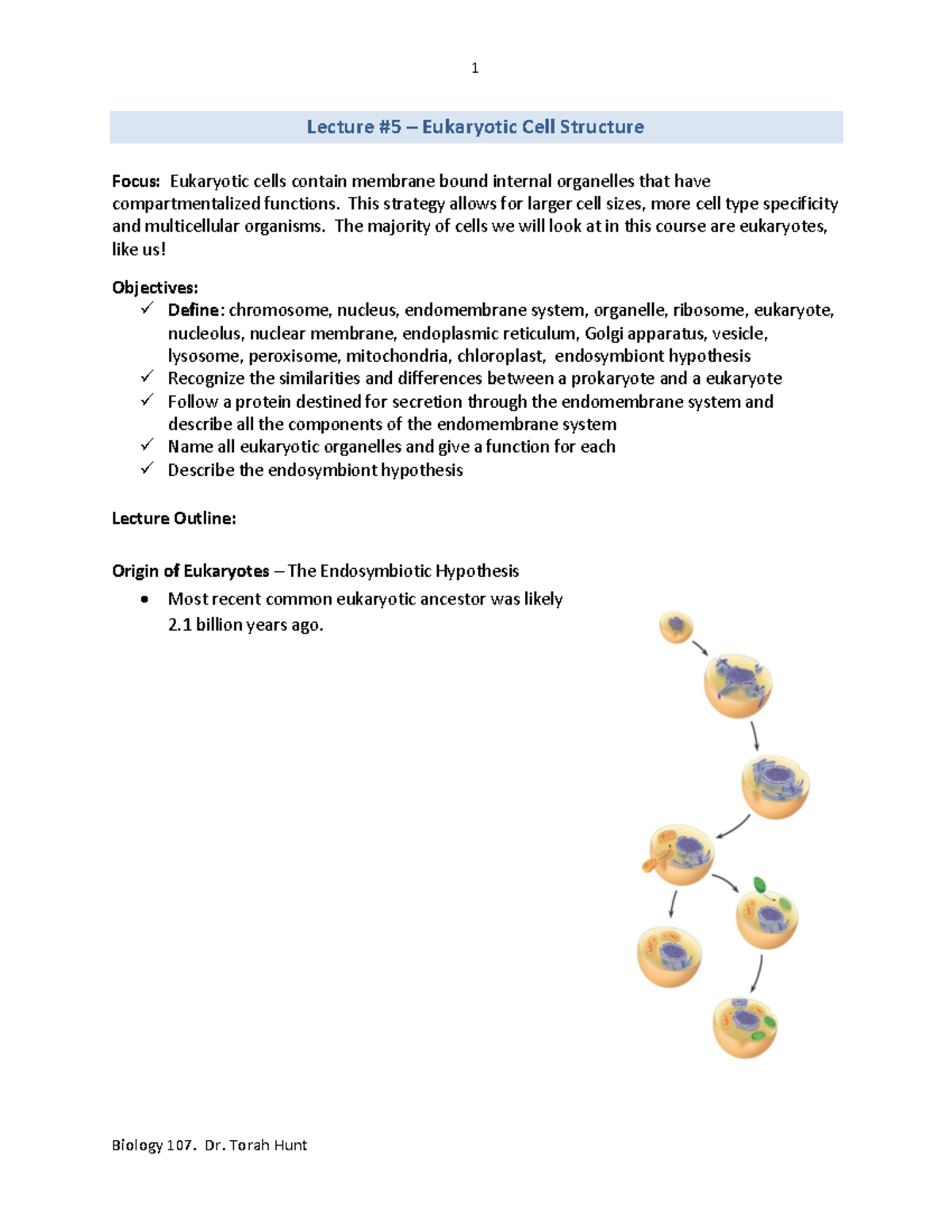 Lecture 5 Euk Cell Structure Student - Lecture #5 – Eukaryotic Cell ...
