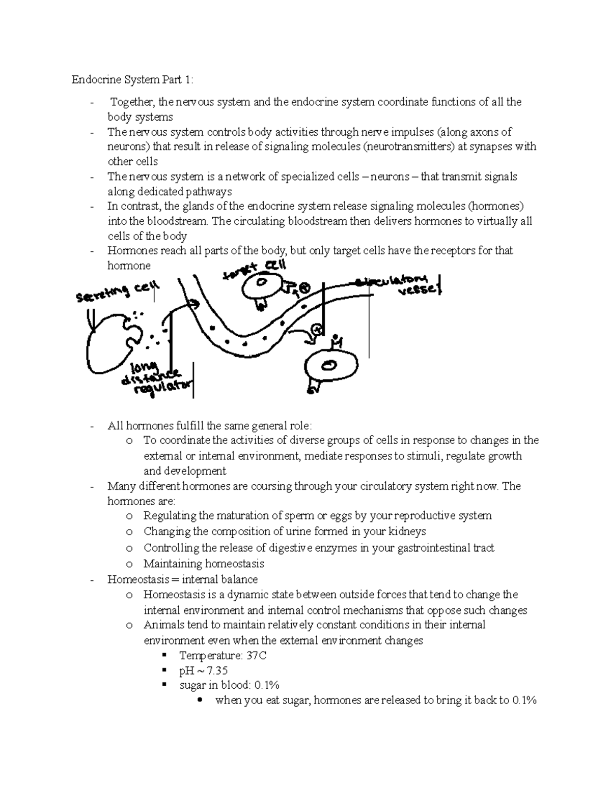 Endocrine System Part 1 and 2 - Endocrine System Part 1: Together, the ...