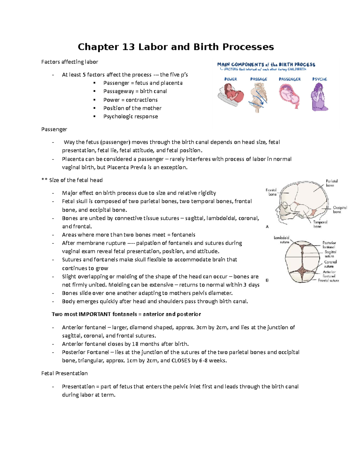 Chapter 13 Labor and Birth Processes - Chapter 13 Labor and Birth ...