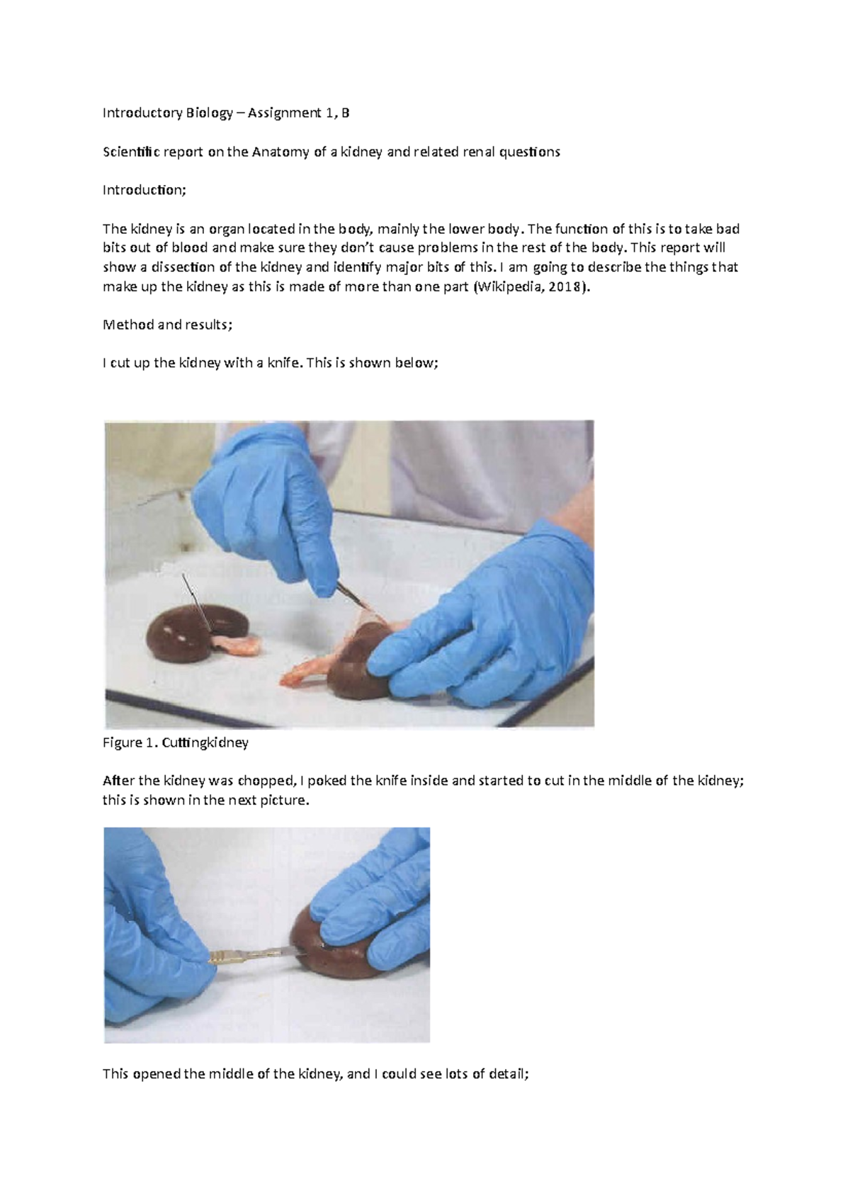 Mock Assignment lowest grade marked version - Introductory Biology ...