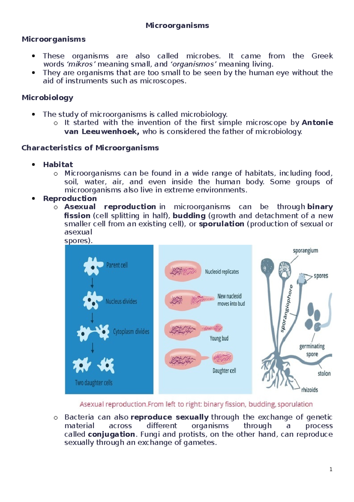 Microorganisms - Microorganisms Microorganisms These organisms are also ...