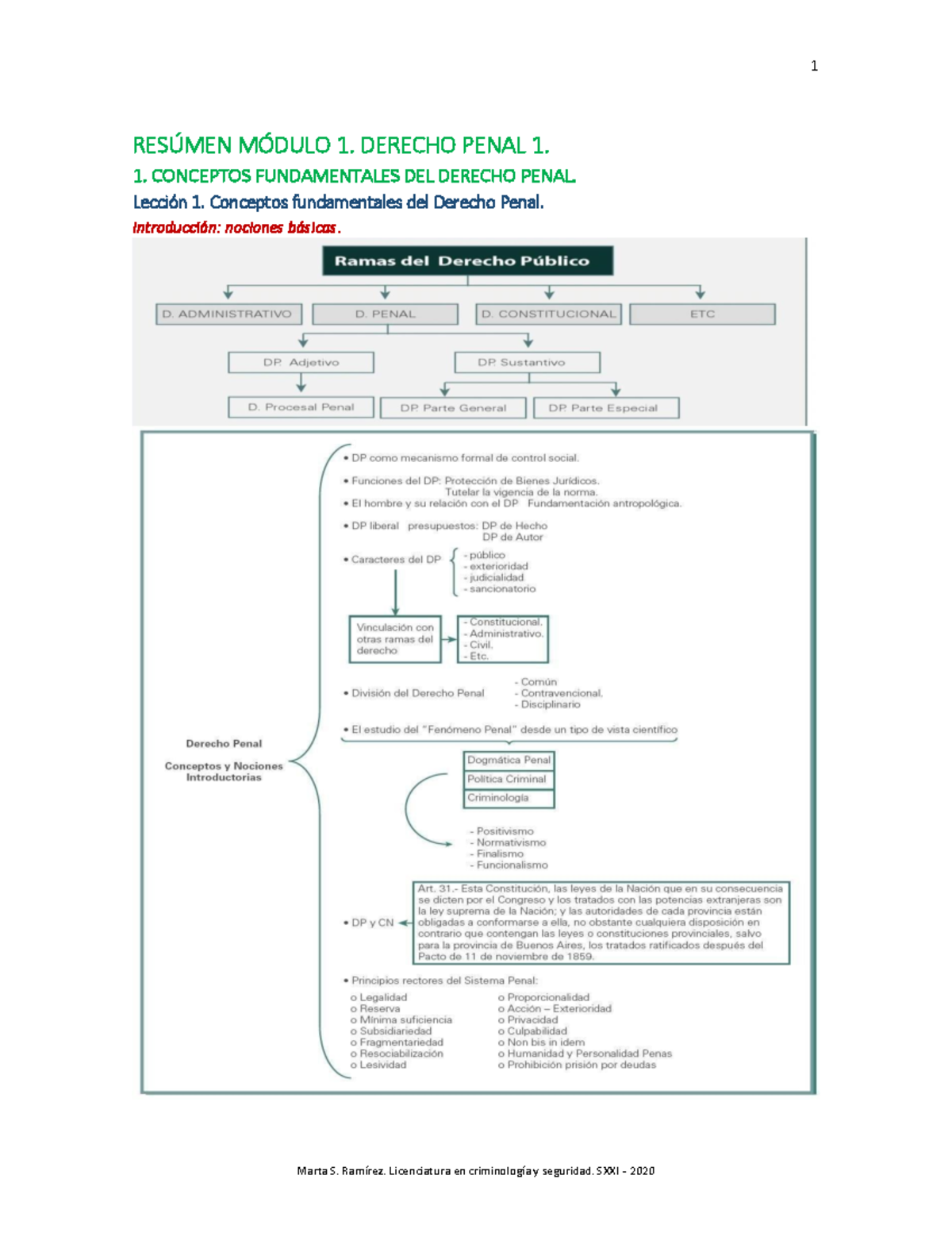 Penal 1. Resumen Módulo 1 - Warning: TT: undefined function: 32 Warning: TT: undefined function ...