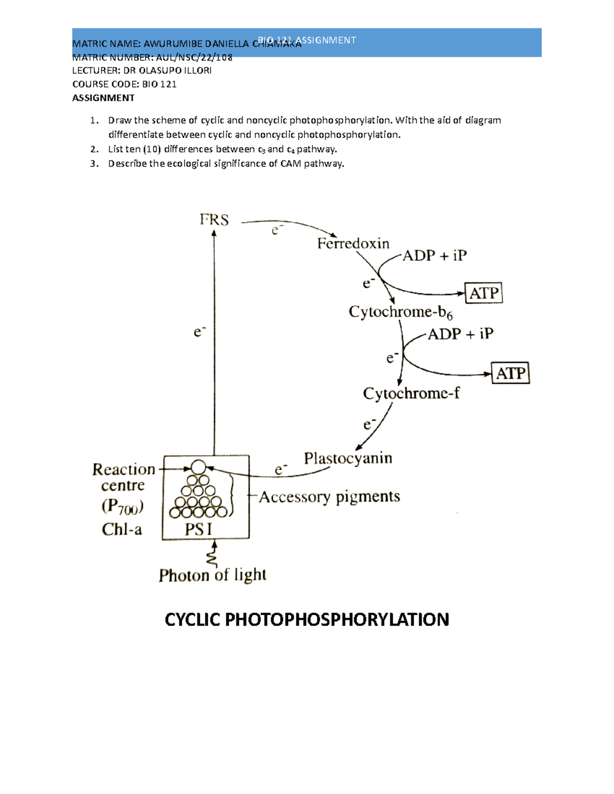 Biology Assignment - MATRIC NAME: AWURUMIBE DANIELLA CHIAMAKA MATRIC ...