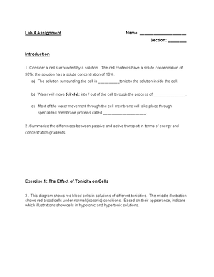 Bio 101 Lab report - Towel Absorbency and strength - Mary Elizabeth ...