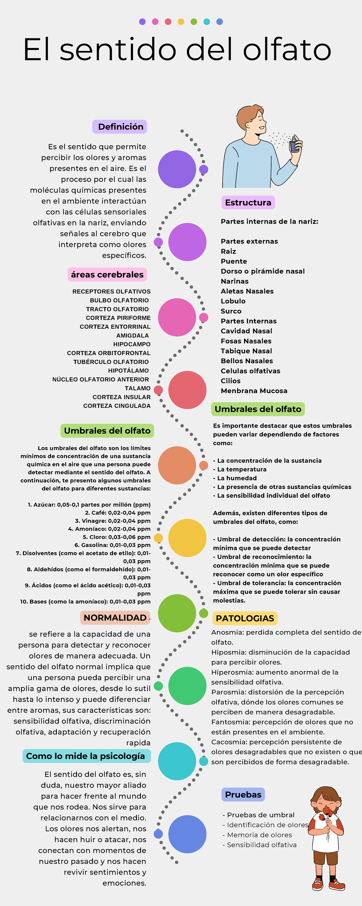 Olfato - Bueno - Es el sentido que permite percibir los olores y aromas ...