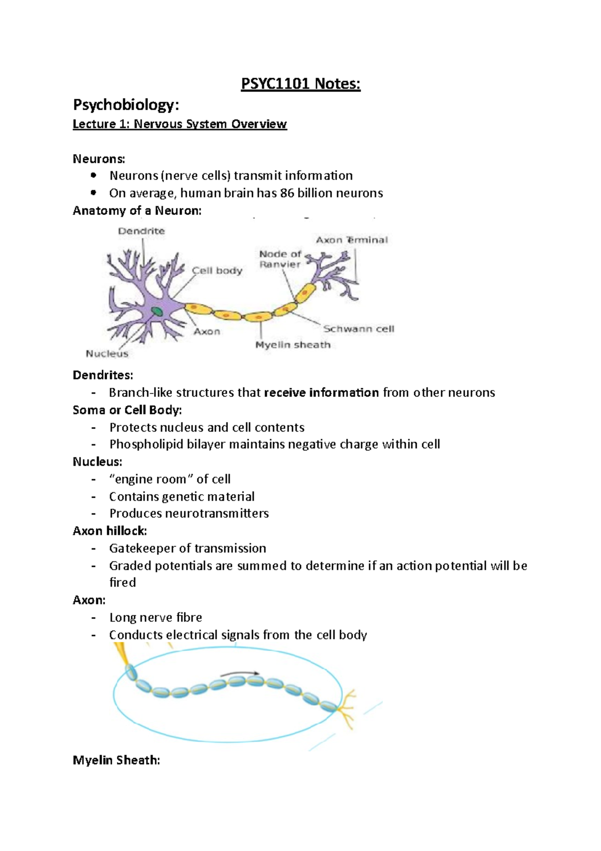 PSYC1101 Detailed Notes - PSYC1101 Notes: Psychobiology: Lecture 1 ...