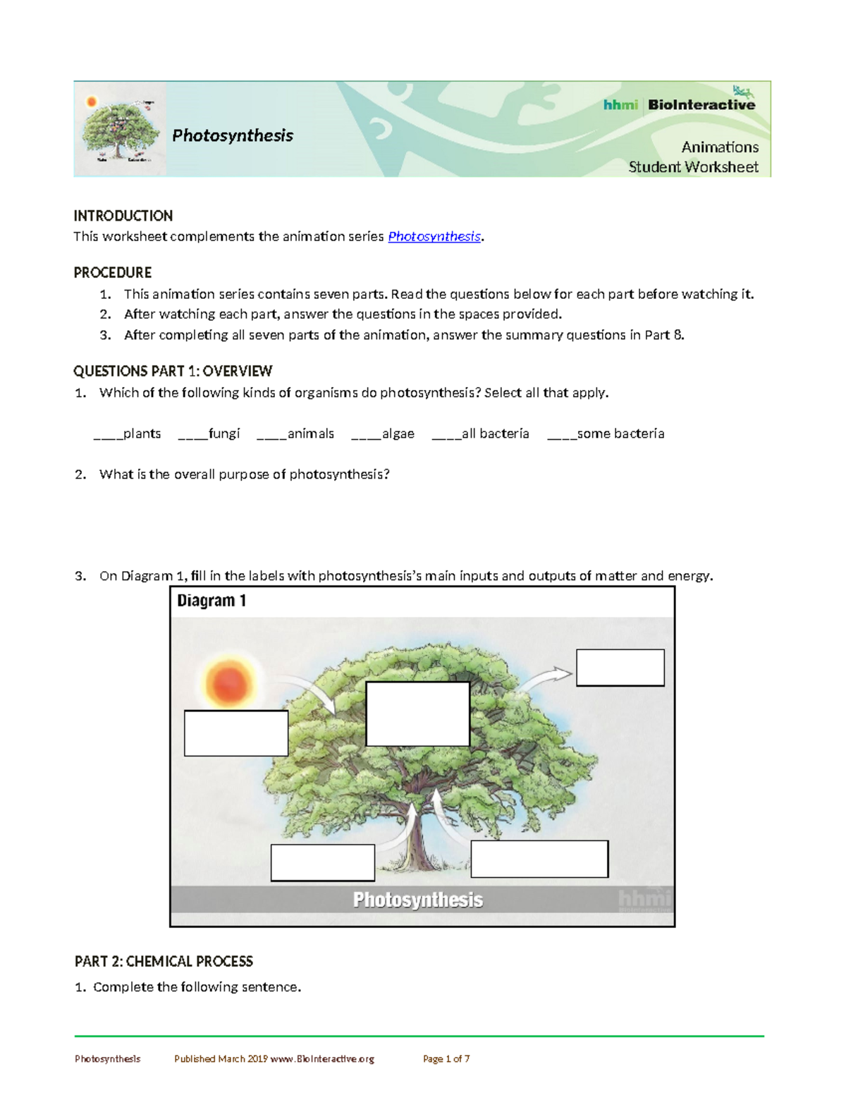 Mod 5 Photosynthesis Lab Worksheet - INTRODUCTION This worksheet ...