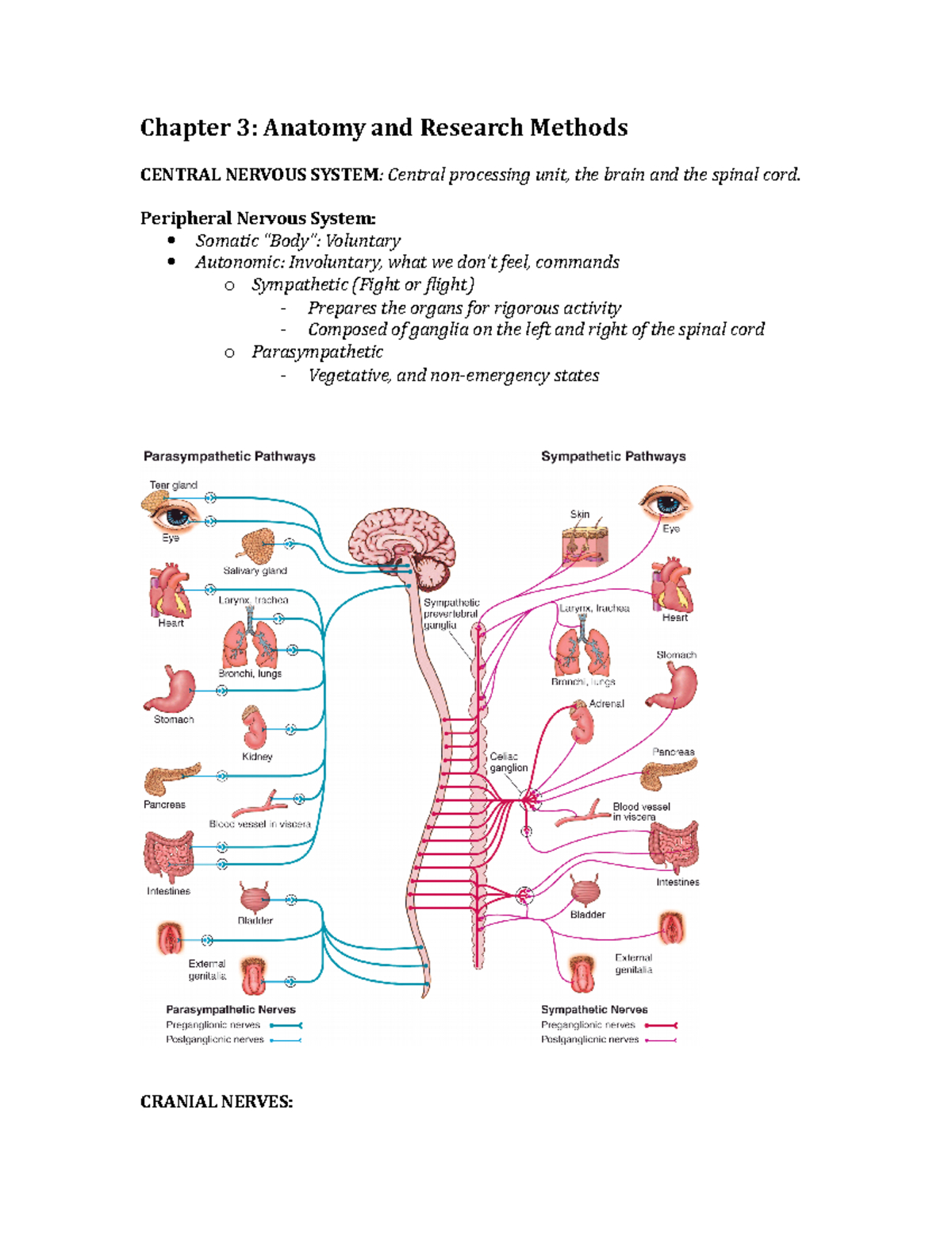 0109 Chapter 3 - Lecture notes 3 - Chapter 3: Anatomy and Research ...
