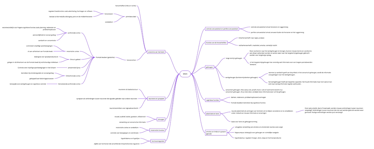 Mind Map PPO - mindmap ppo - hersenhelften (links rechts) reguleert ...