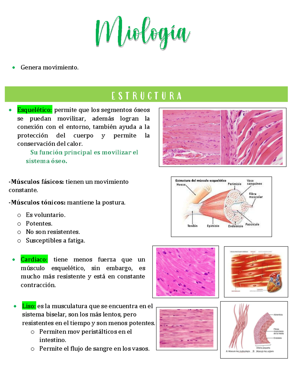 Miologia - Warning: TT: undefined function: 32 Genera movimiento. E S T R U C T U R A ...