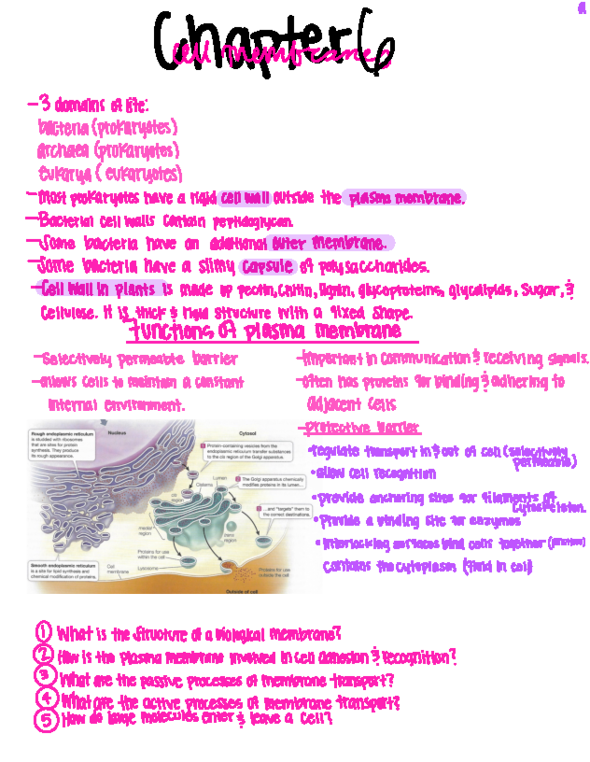 Chapter 6 - Dr. Mohammad Ashraf - a H 6 AEnt*¬k 6 domains 07 life ...
