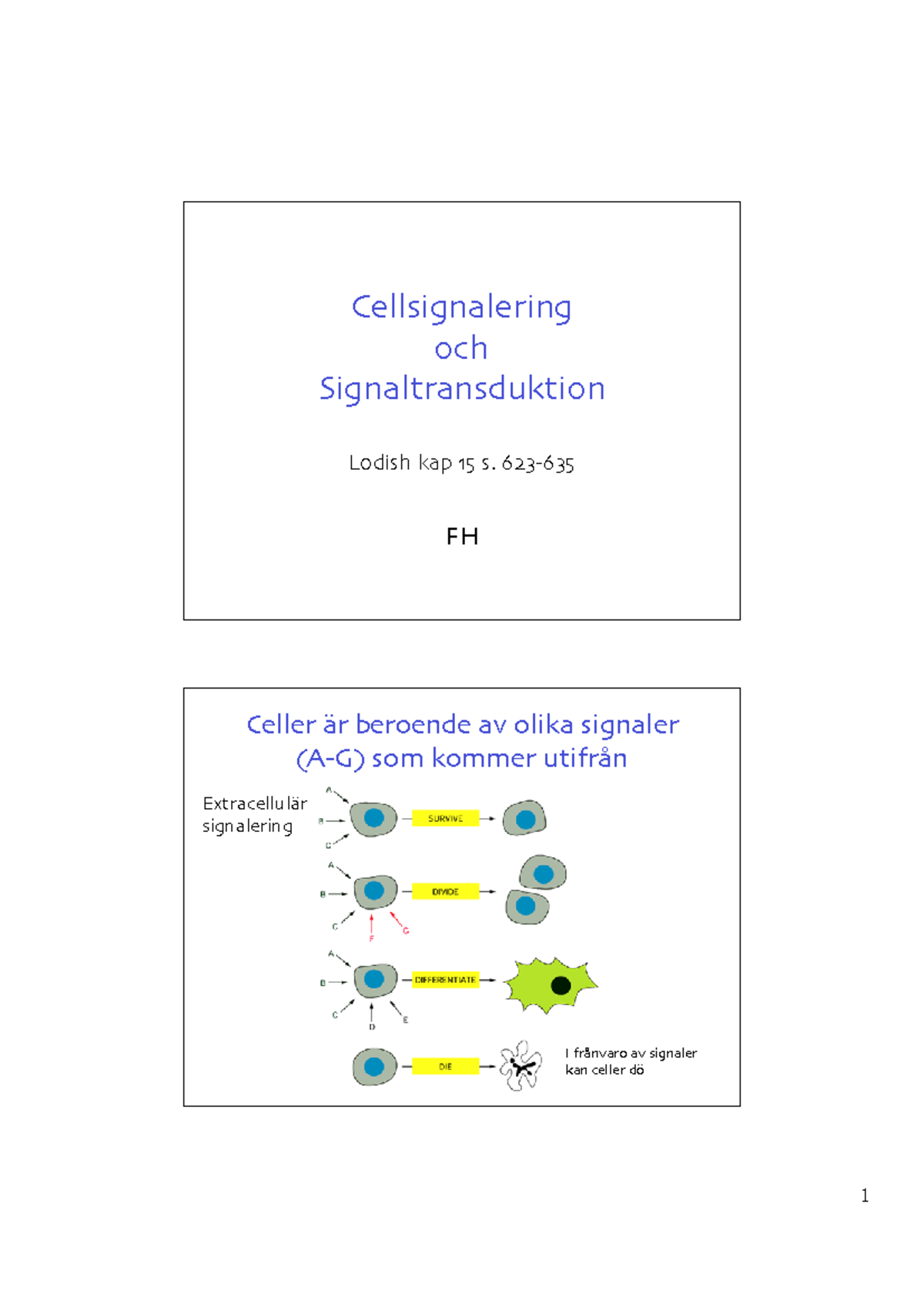 Cell signalering - Cellsignalering och Signaltransduktion ...
