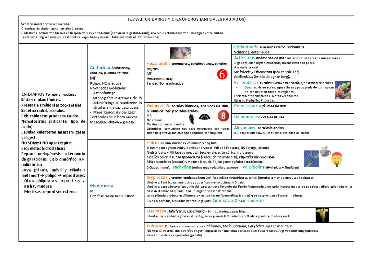 Tabla resumen diversanim - Warning: TT: undefined function: 32 Warning: TT: undefined function ...