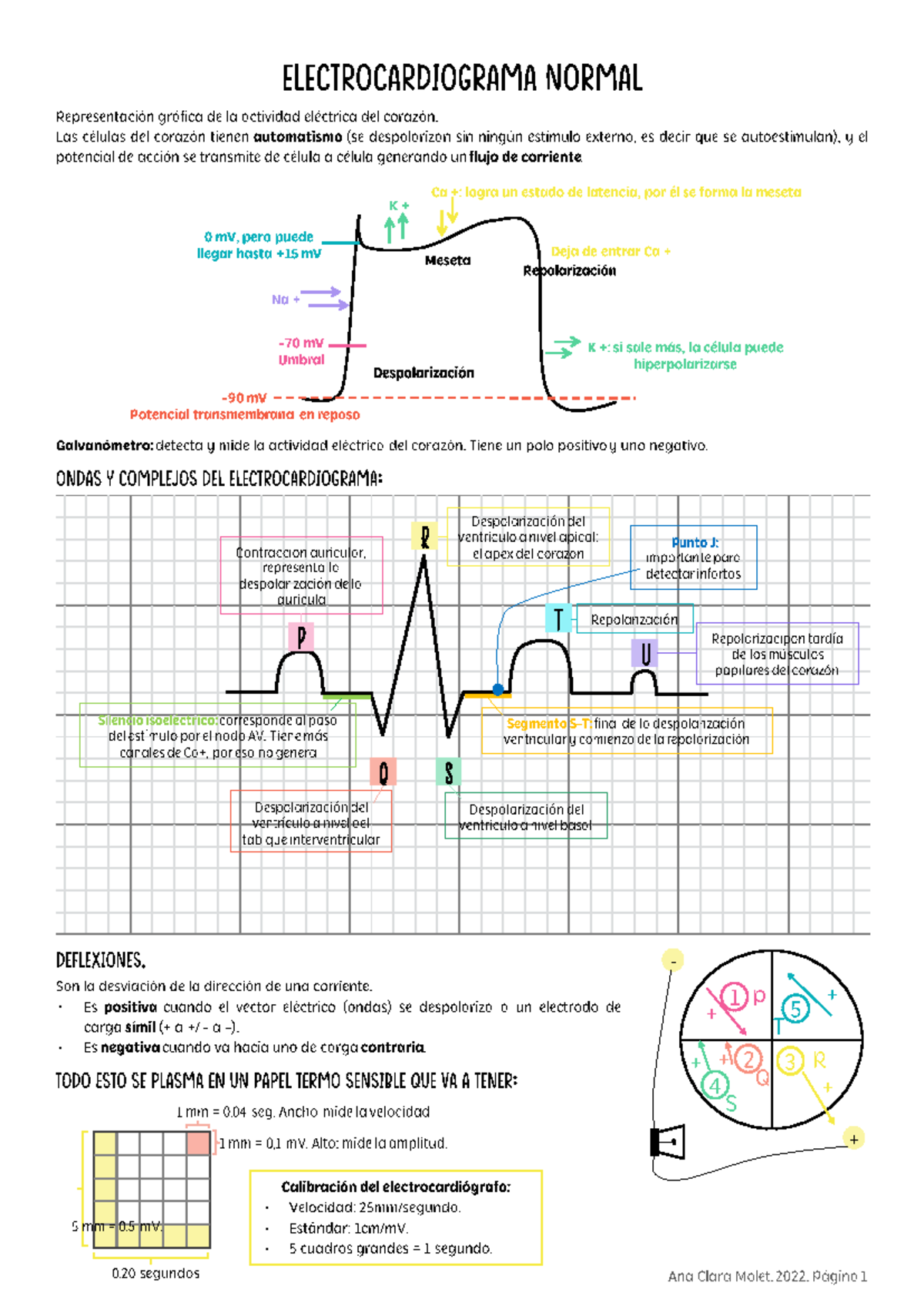 UABP 4. Electrocardiograma normal - ELECTROCARDIOGRAMA NORMAL ...