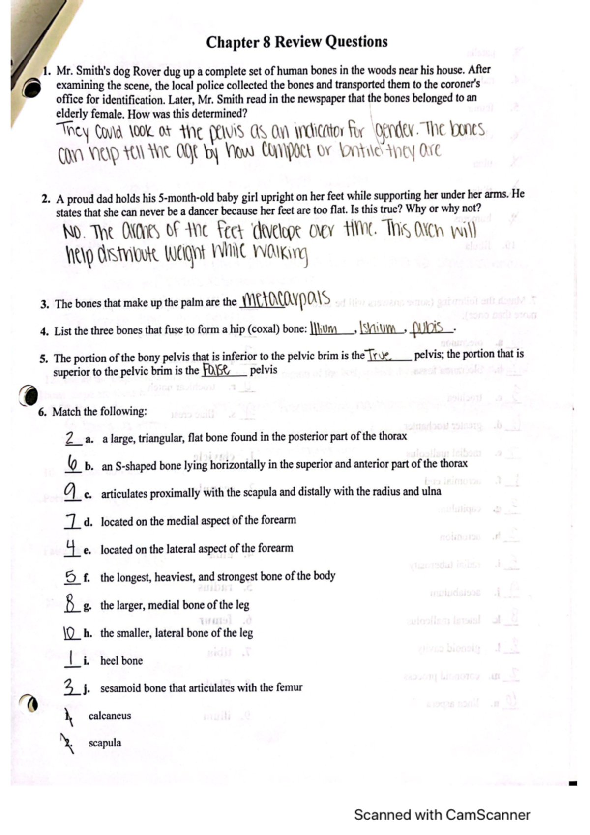 Chapter 8 Review Questions - BIOL 141 - Studocu