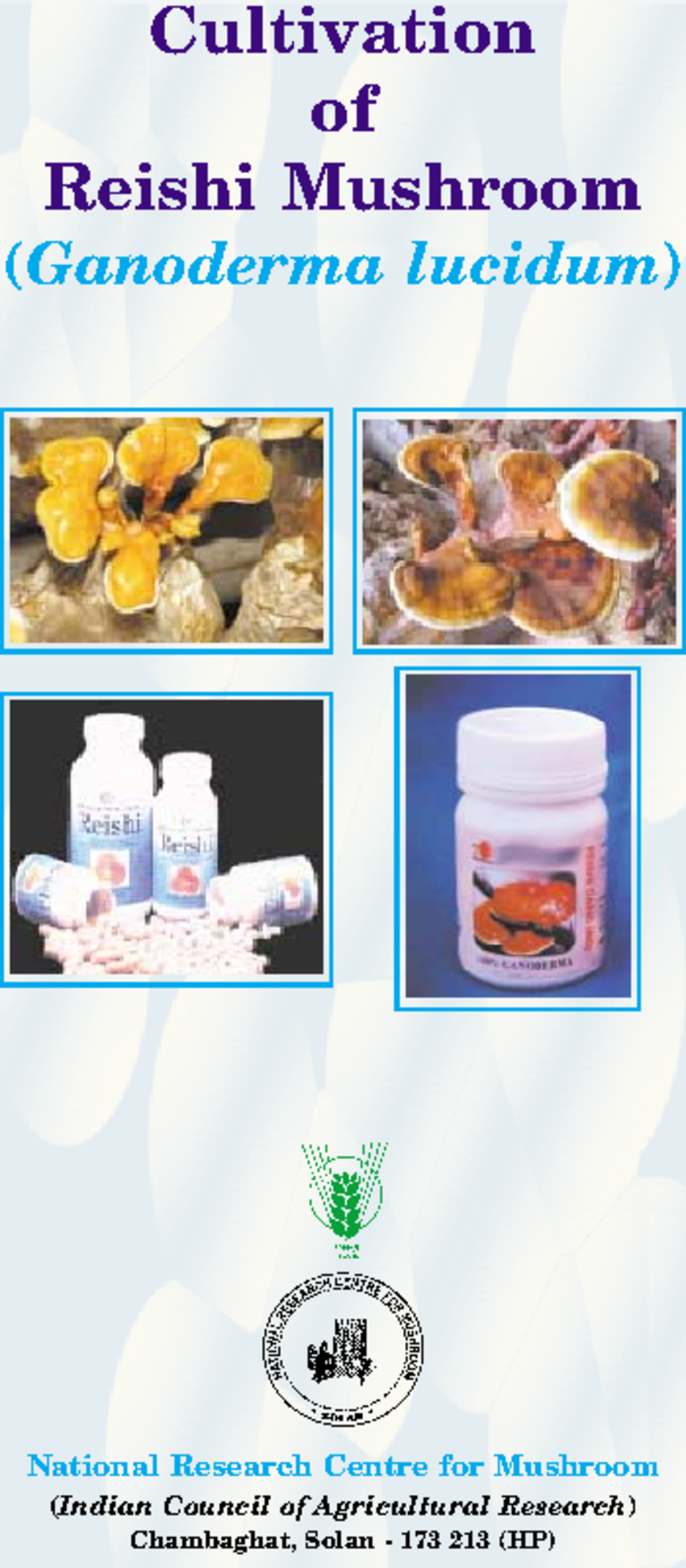 Folder Ganoderma - agribusines - Cultivation of Reishi Mushroom ...