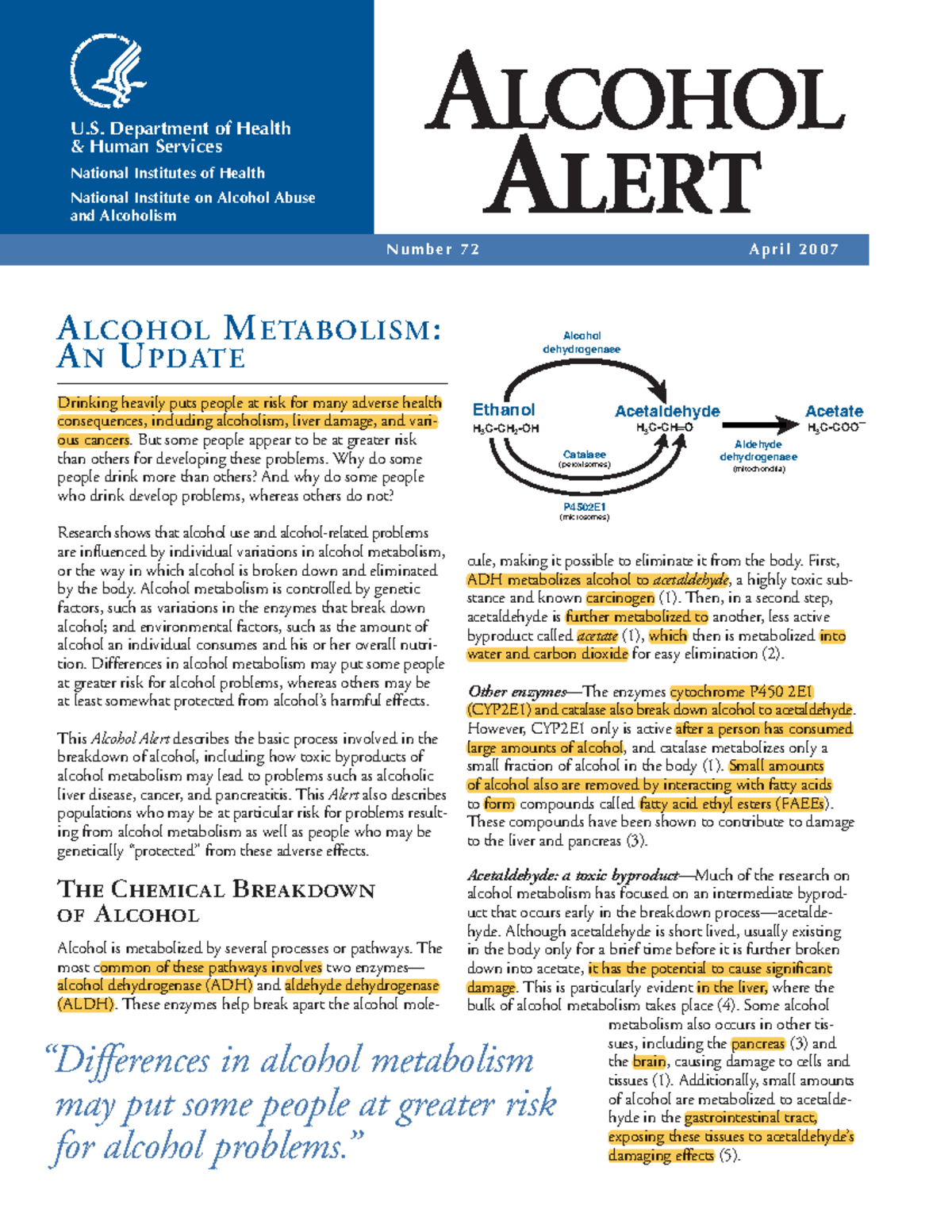 Alcohol Metabolism An Update 2007 - U. Department of Health & Human ...