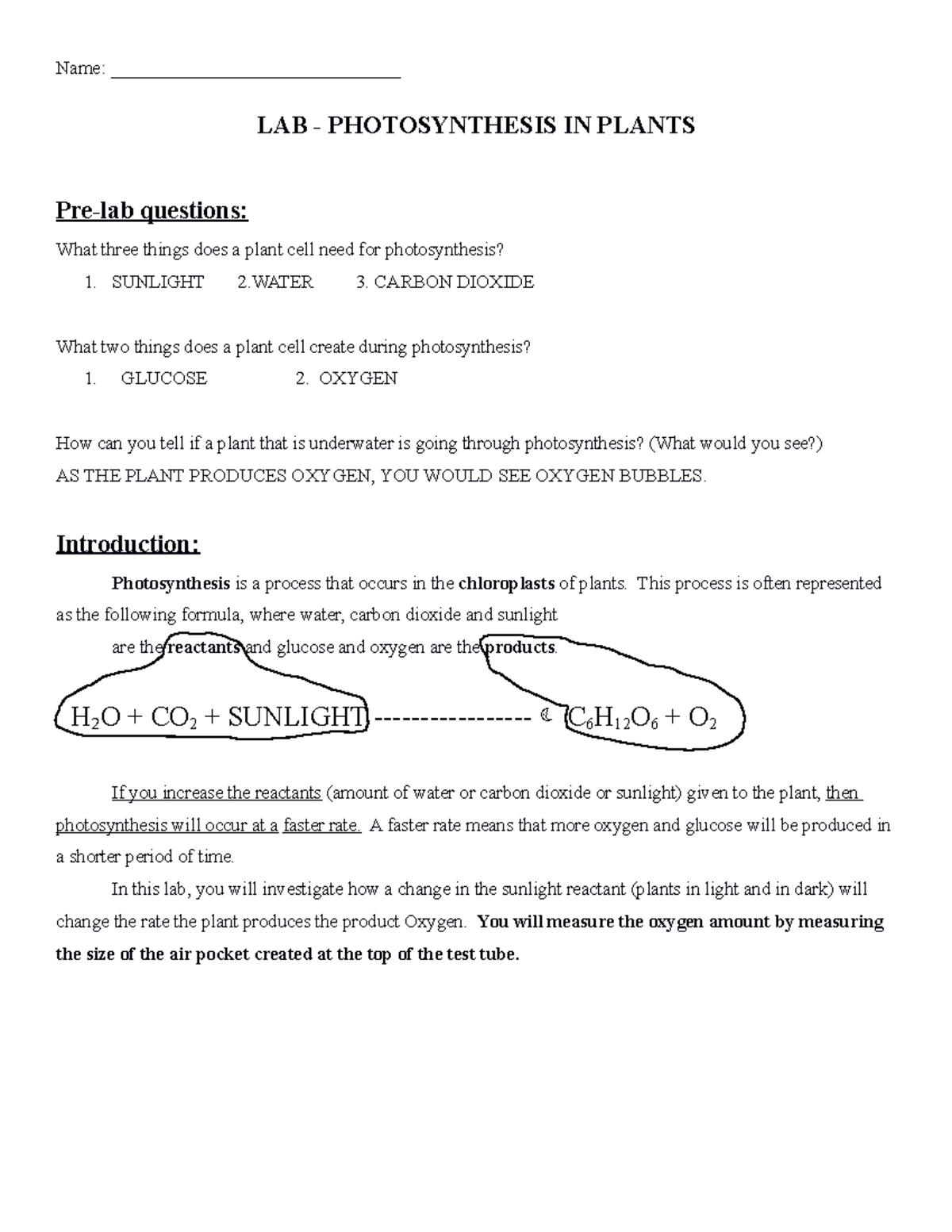 Answers for Photosynthesis LAB - Name ...