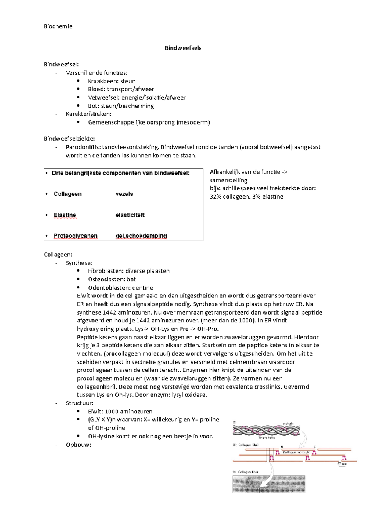 Bindweefsels - Biochemie Bindweefsels Bindweefsel: - Verschillende ...