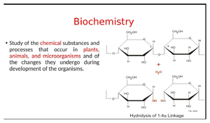 Radiate Animals - General Zoology - INTRODUCTION Radiate Animals Slide ...