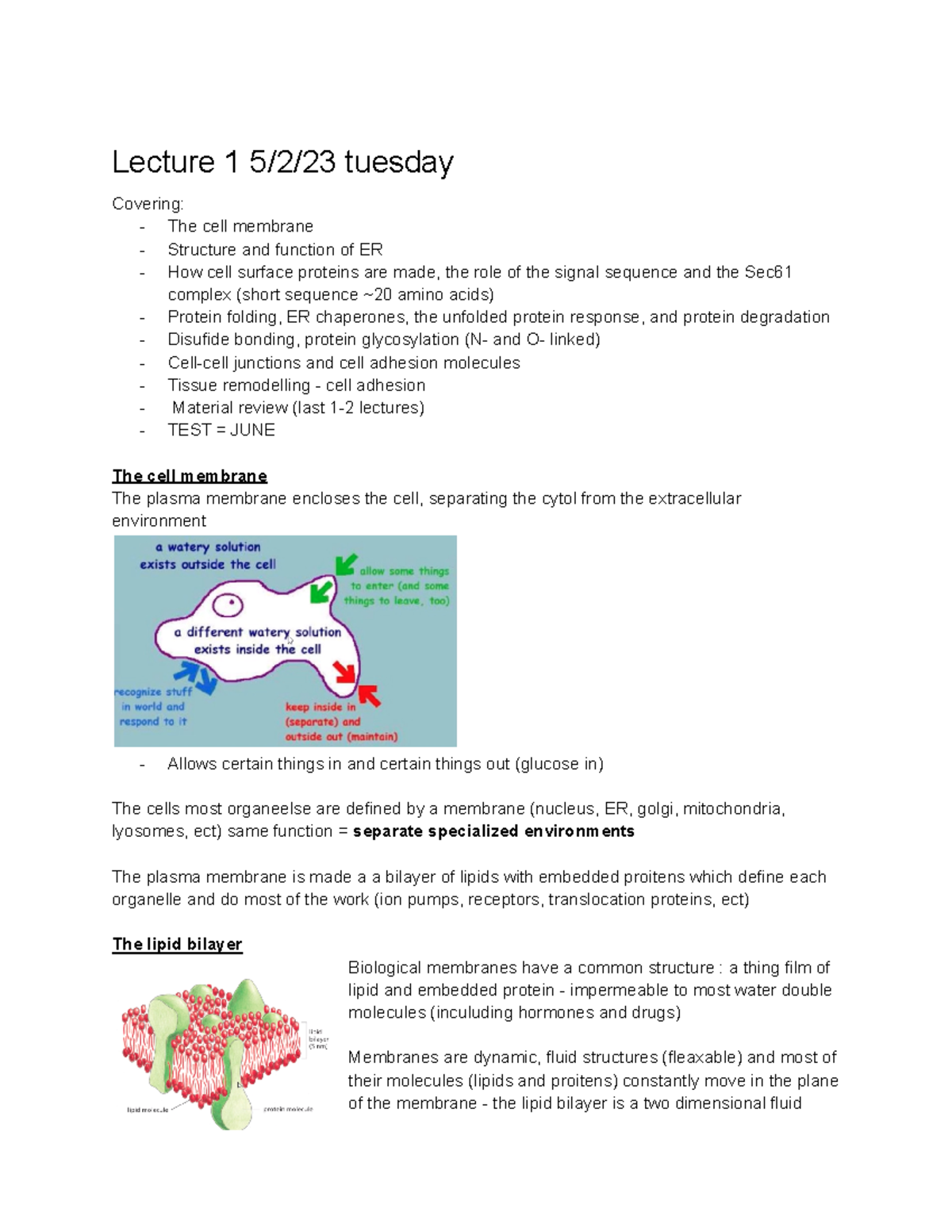 Prof. Davide Comoletti DVM - Lecture 1 5/2/23 tuesday Covering: - The ...