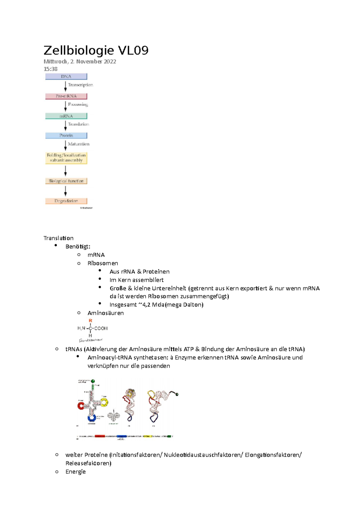 Zellbiologie VL09 - Büchel - Zellbiologie VL Mittwoch, 2. November 2022 ...