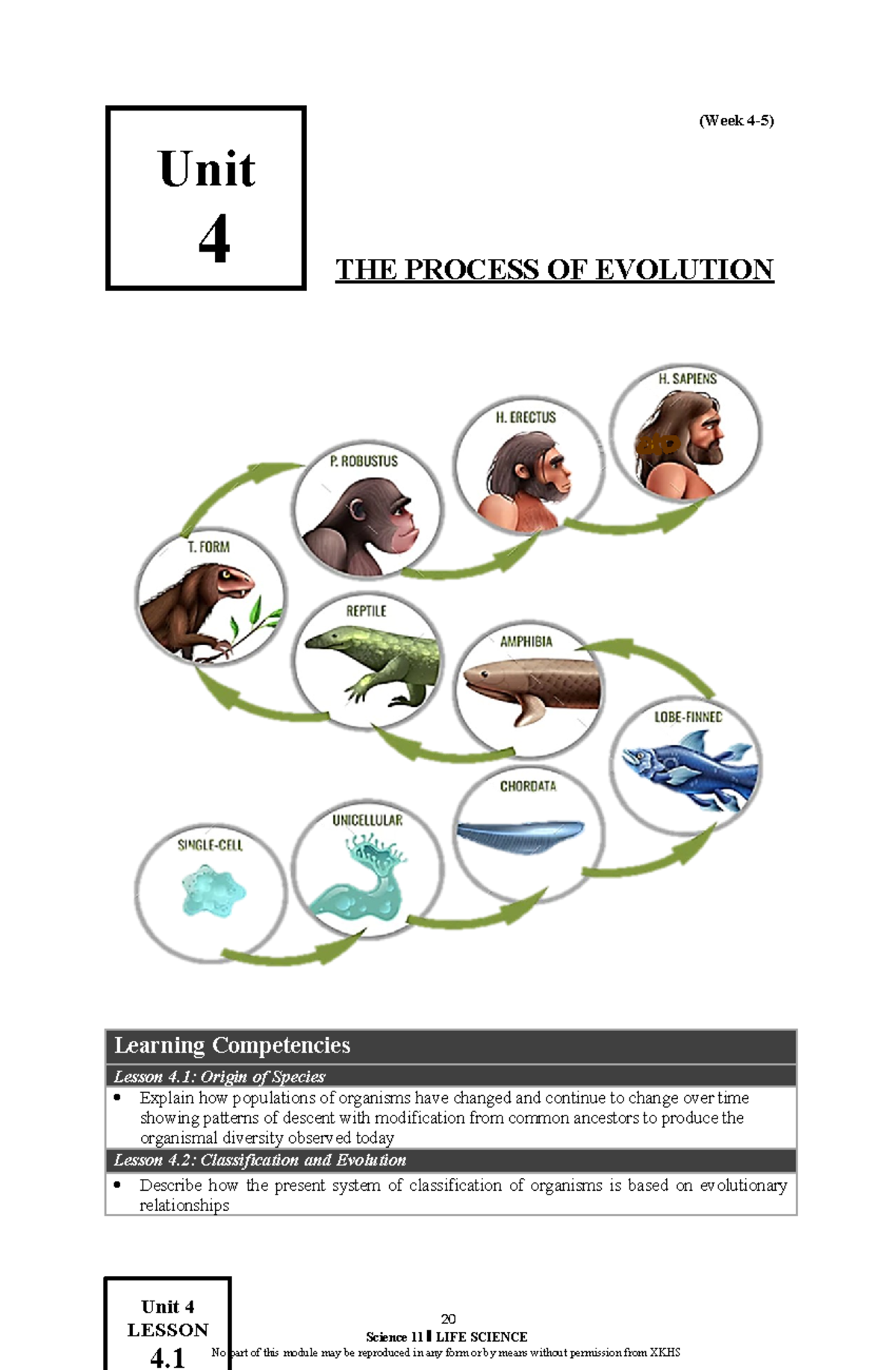 9 - handouts - Unit 4 LESSON 4. Unit 4 (Week 4-5) Science 11 l LIFE ...