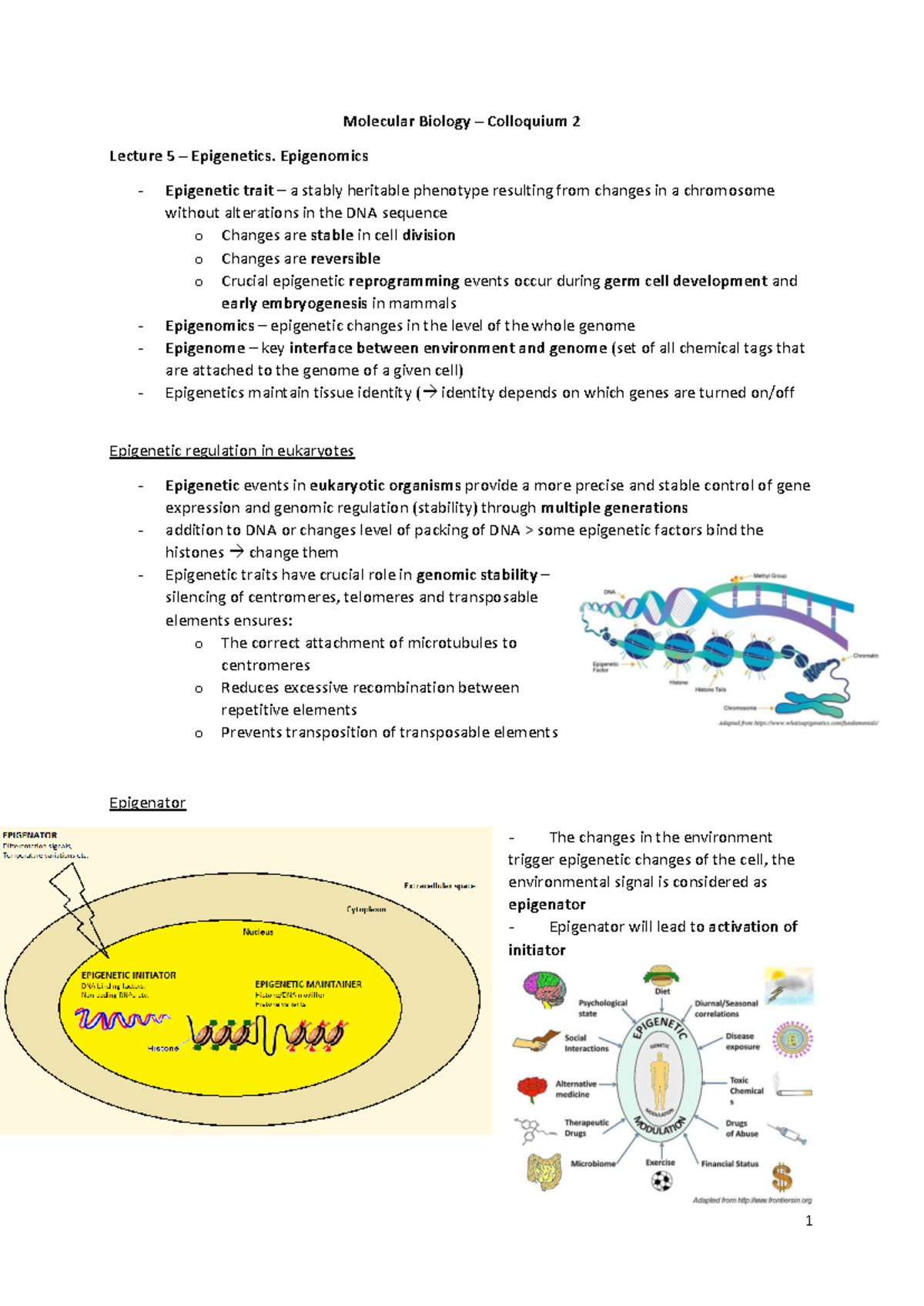 2nd Colloquium summary - Molecular Biology – Colloquium 2 Lecture 5 ...