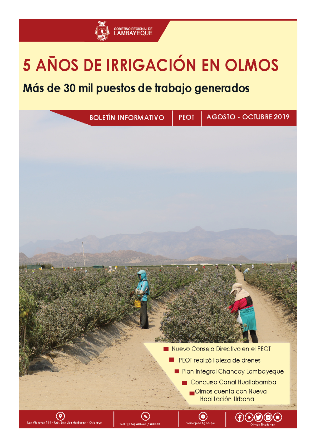 Información sobre los frutos en olmos - Perú - Las Violetas 136 - Urb ...