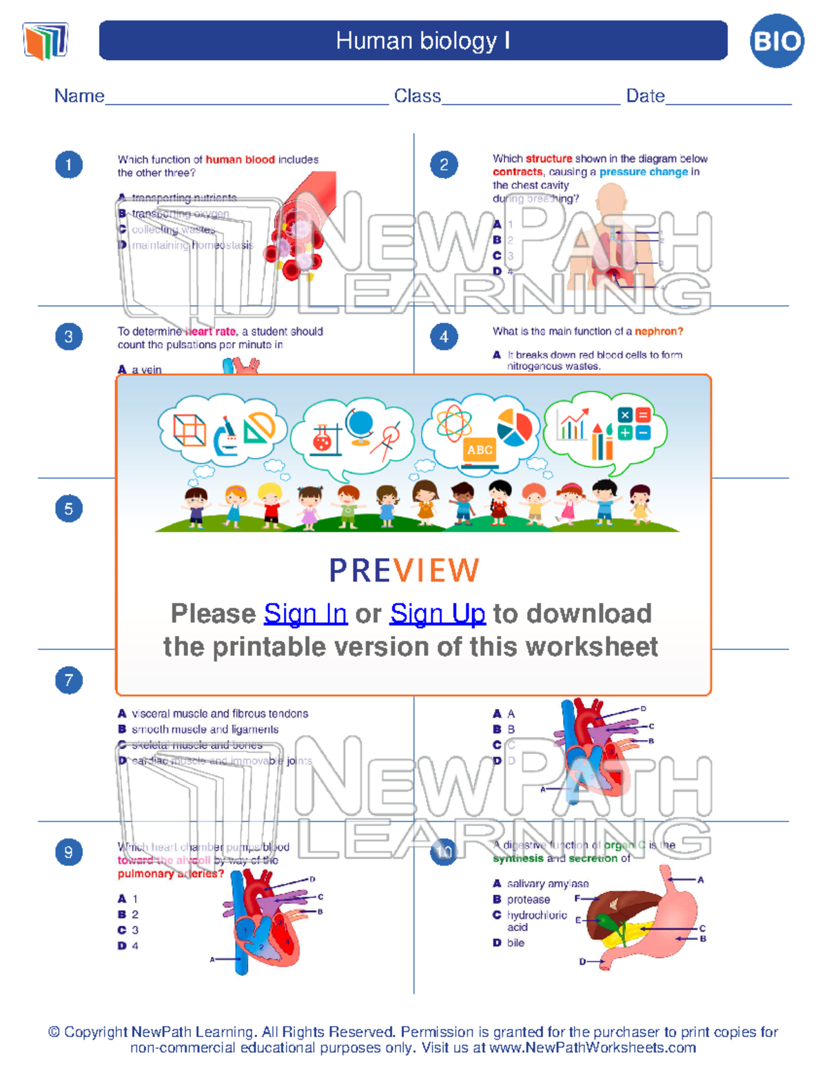 Worksheet biology high school human biology i 0 - Name ...