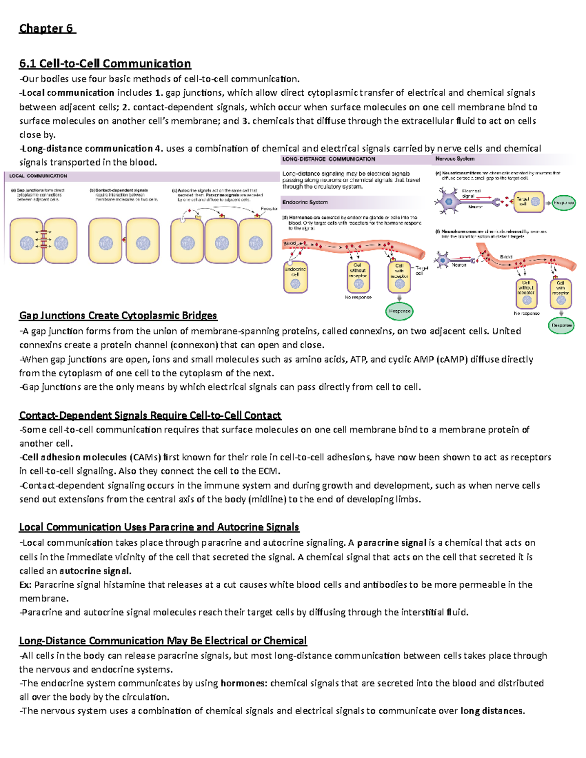 Physiology Chapter 6 Notes - Chapter 6 6 Cell-to-Cell Communication ...