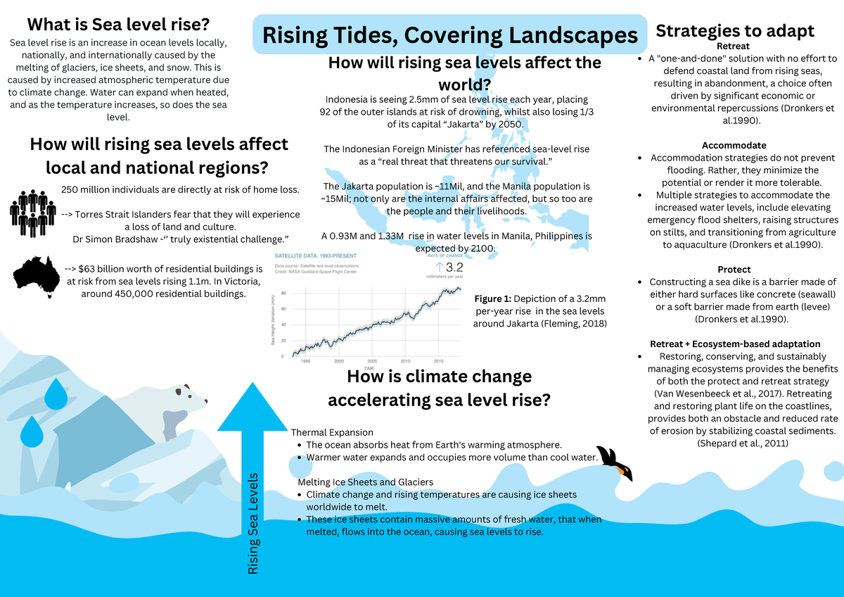 Sea level Rise Ecology poster (1) - Rising Tides, Covering Landscapes ...