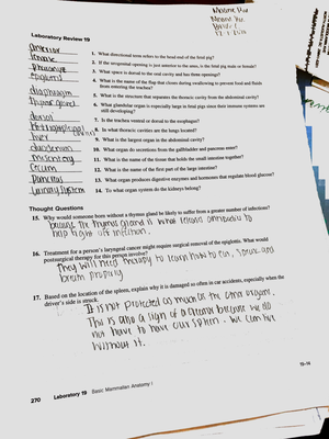 Cardiac Anatomy LAB 5 Notes - Heart Overview Heart = muscular organ ...