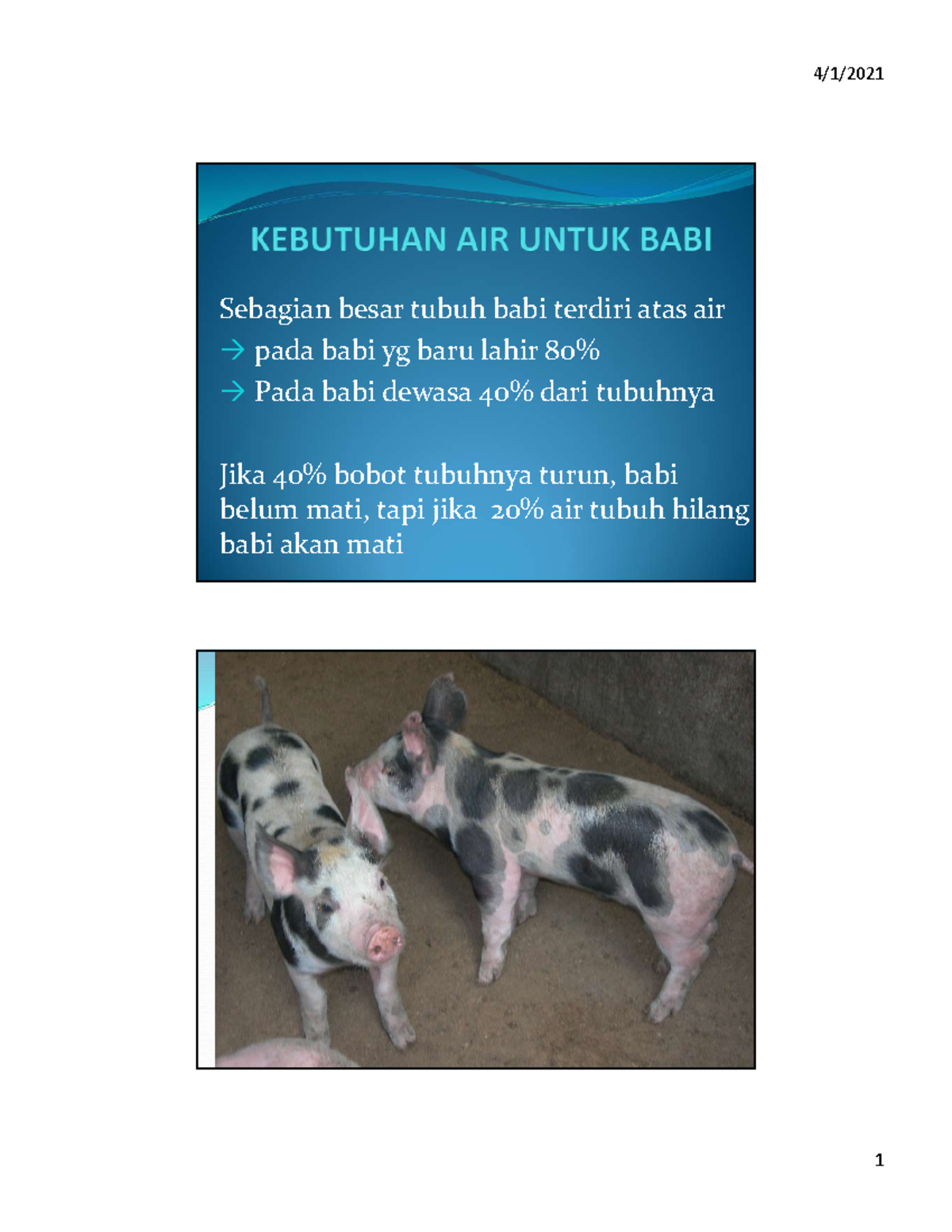 Kebutuhan AIR UTK BABI pdf - Sebagian besar tubuh babi terdiri atas air ...